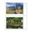 5x7 Photo Sleeves For 3 Ring Binder | 50 Pack | UniKeep