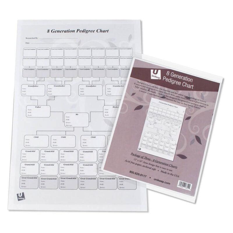 8 Generation Fan Chart - UniKeep.com